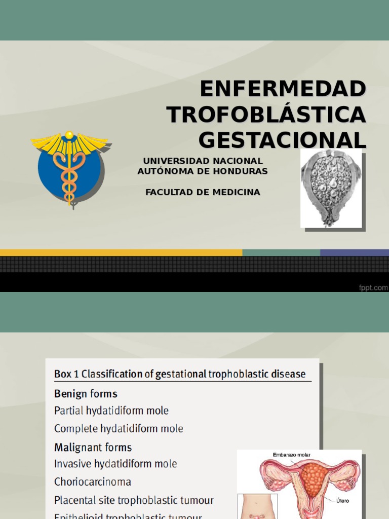Enfermedad Trofoblastica Gestacional | Placenta | El embarazo