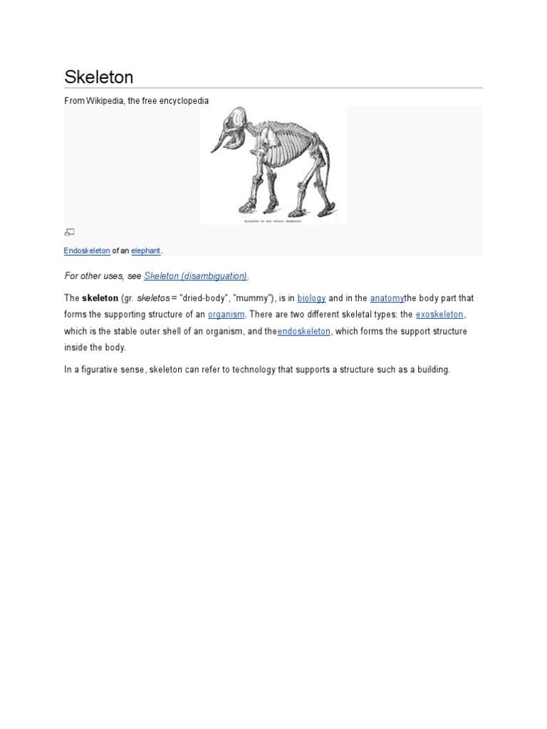 Skeleton: From Wikipedia, The Free Encyclopedia | PDF | Skeleton ...