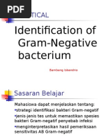 Aerobic Gram Negative Rods Flowchart 508 | PDF | Gram Negative Bacteria ...