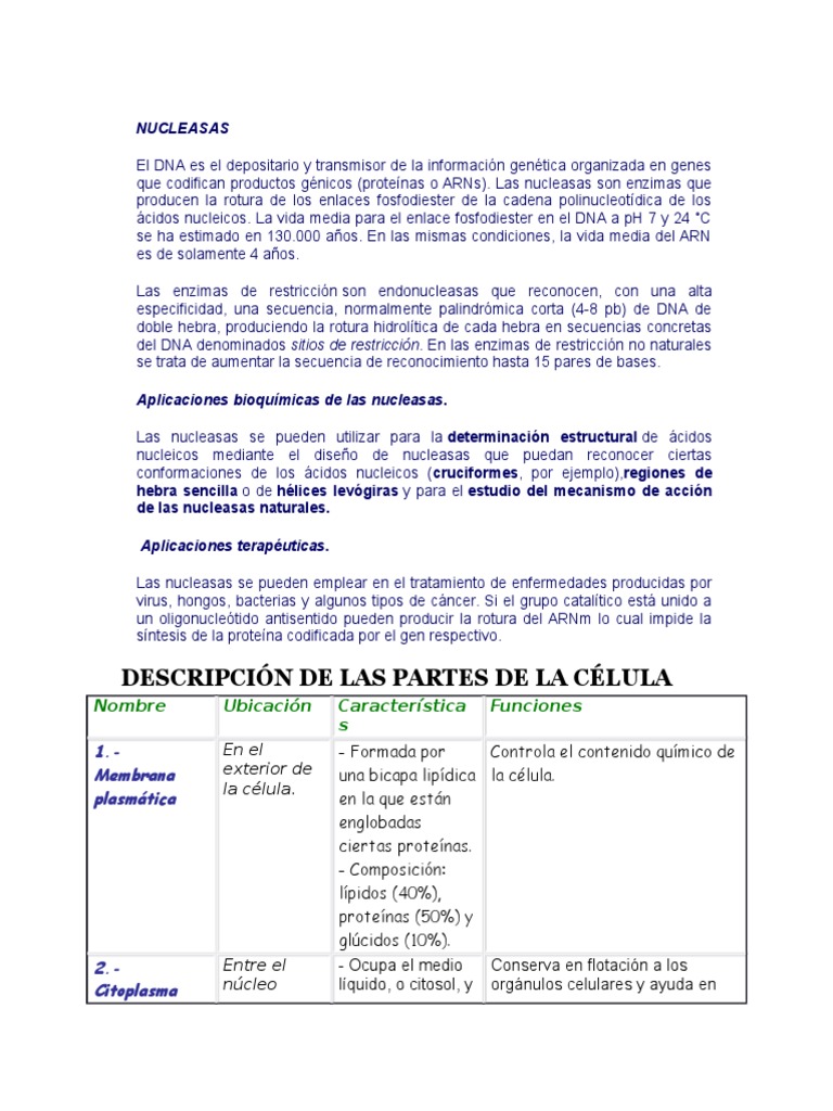NUCLEASAS | PDF | Citoplasma | Nucleo celular