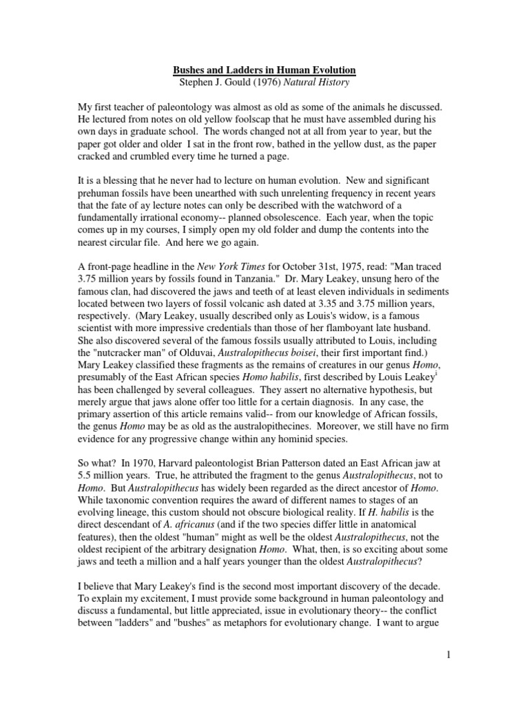 Human Evolution: Ladders vs. Bushes | PDF | Homo | Human Evolution