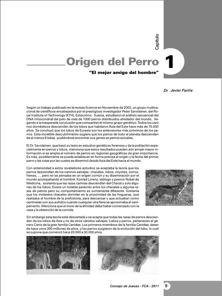 Historia Del Perro | PDF | Ciencias sociales