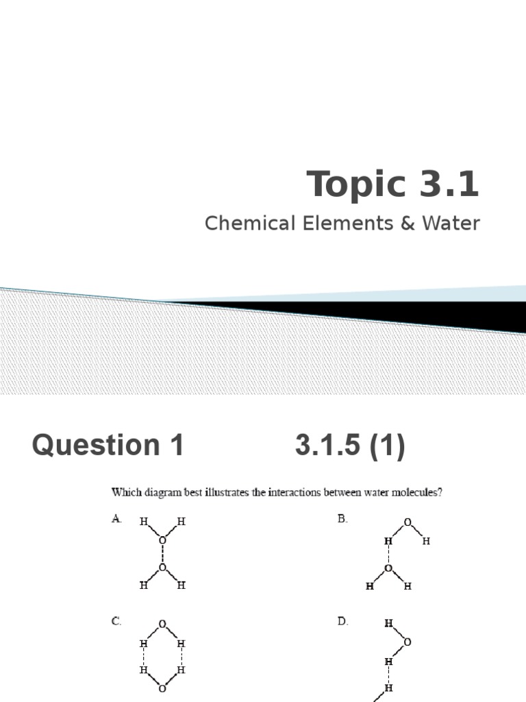 IB Biology Questions - Topic 3 Paper 1 Questions | PDF | Photosynthesis ...