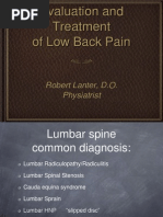 Scottie Dog Sign | PDF | Vertebra | Skeletal System