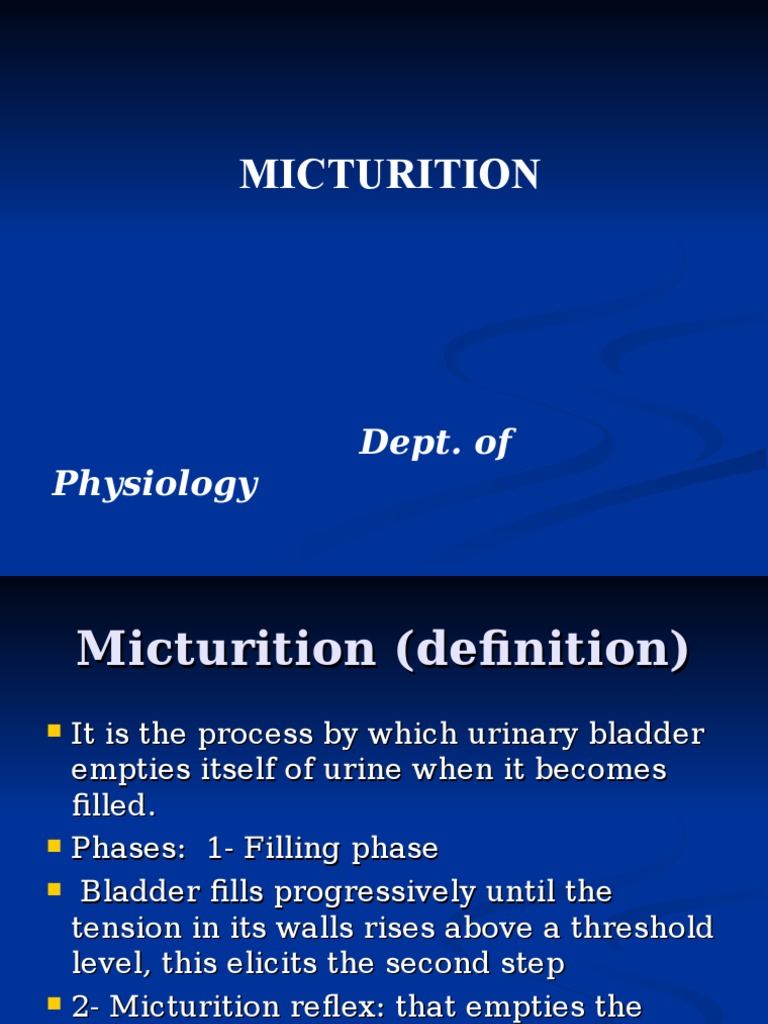 Micturition: Physiology Insights | PDF | Urination | Urinary Bladder