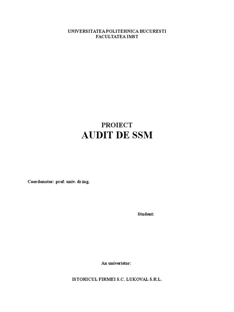 Proiect Audit de SSM | PDF