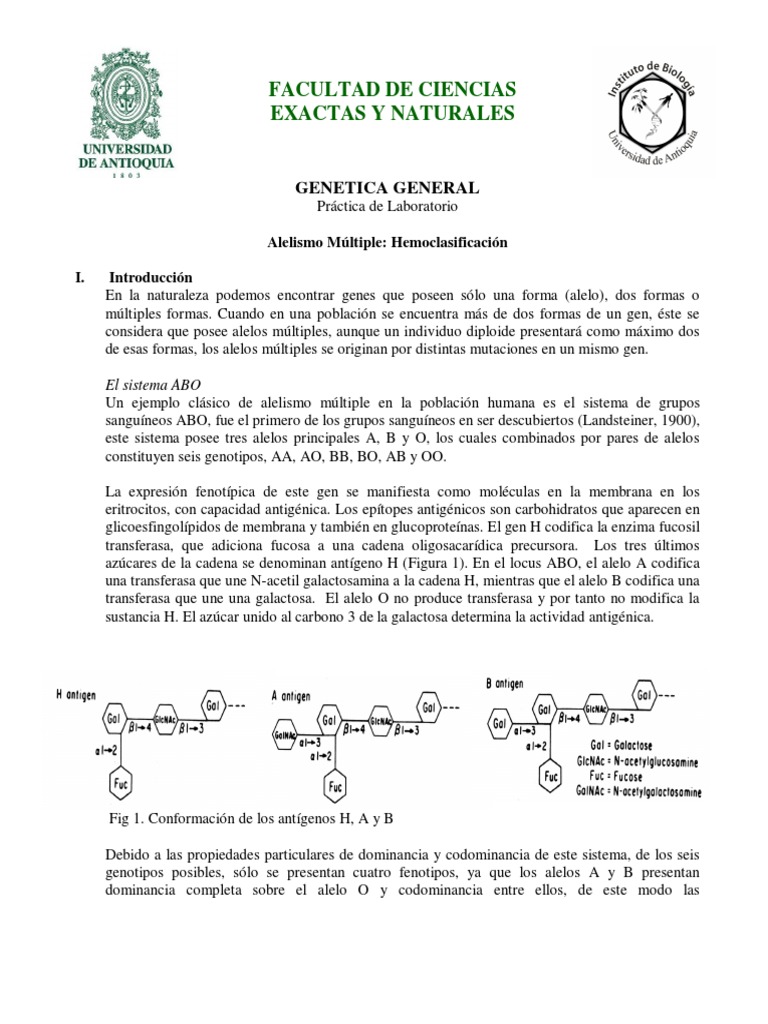 Alelismo Múltiple - Hemoclasificacion | PDF | Tipo de sangre | Alelo