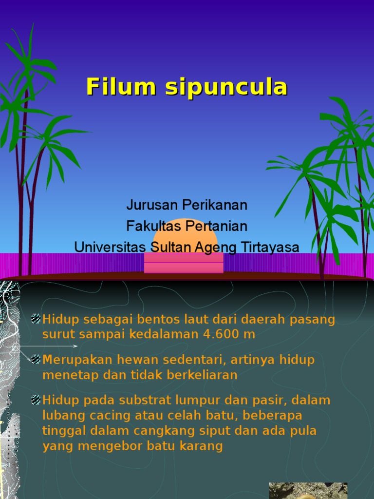 Morfologi dan Fisiologi Sipuncula | PDF