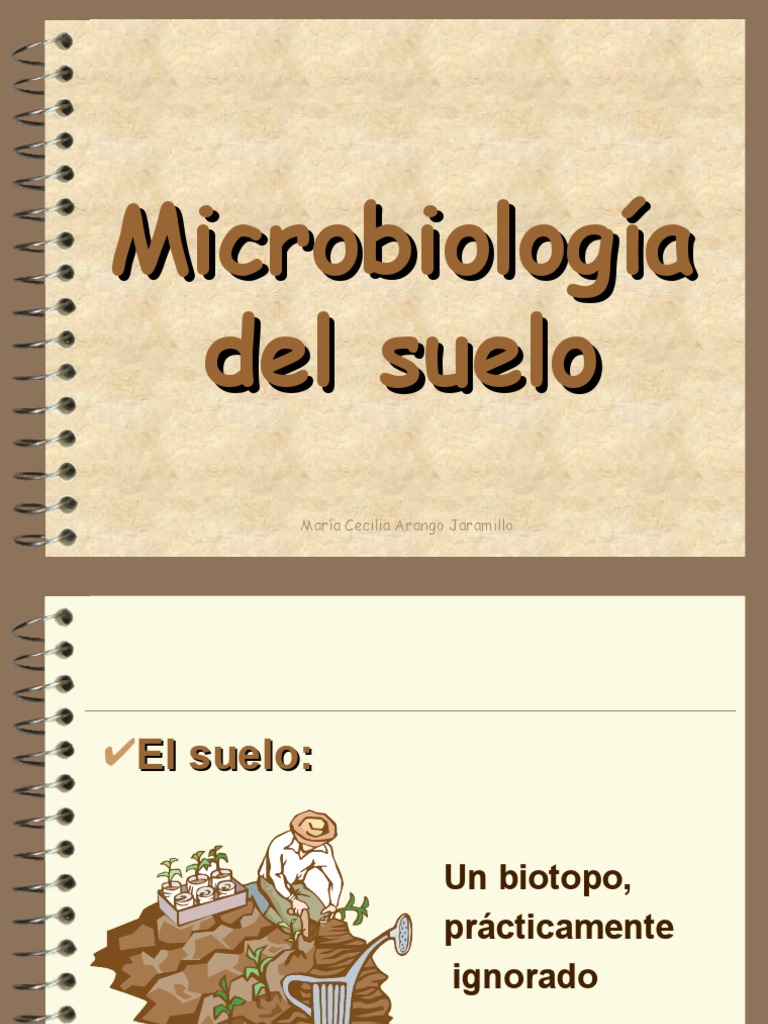 Microbiologia Del Suelo | PDF | Microorganismo | Suelo