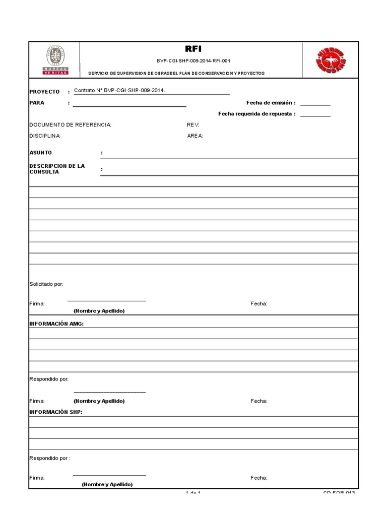 Formato de Rfi | PDF