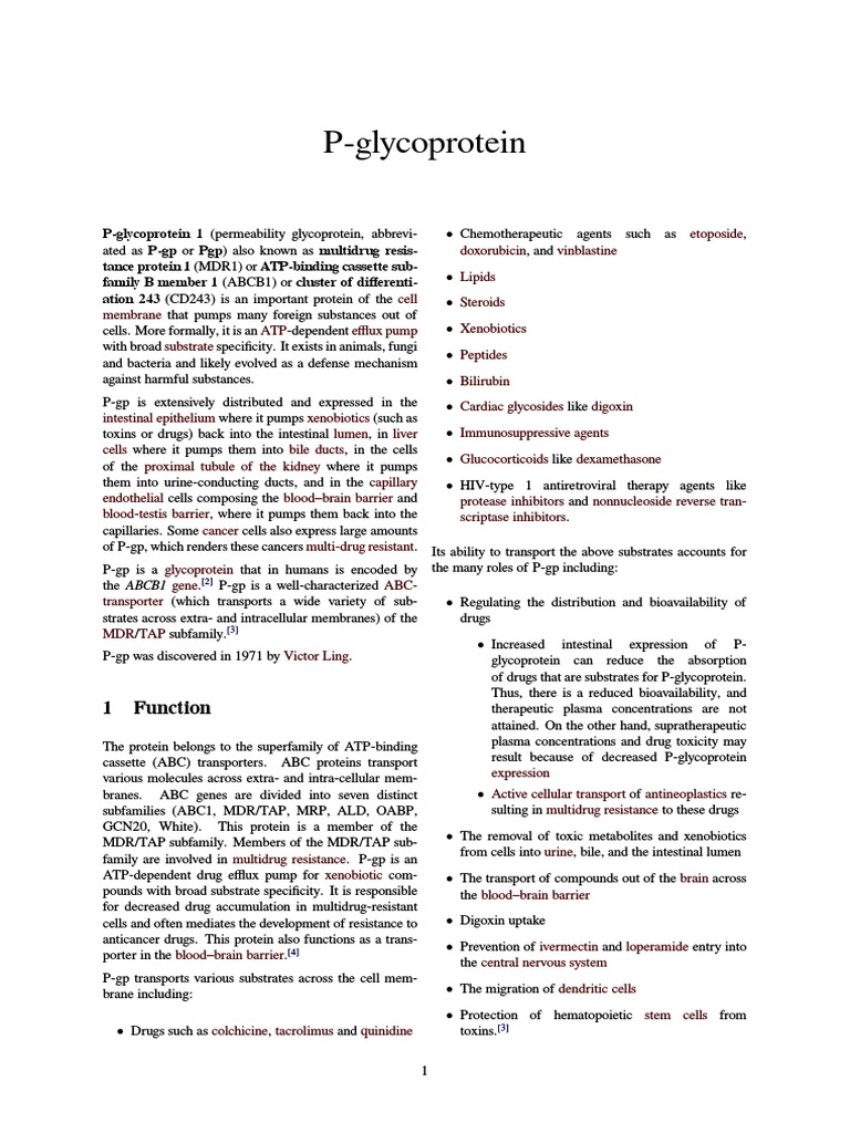 P-Glycoprotein: 1 Function | PDF | Nutrients | Biochemistry