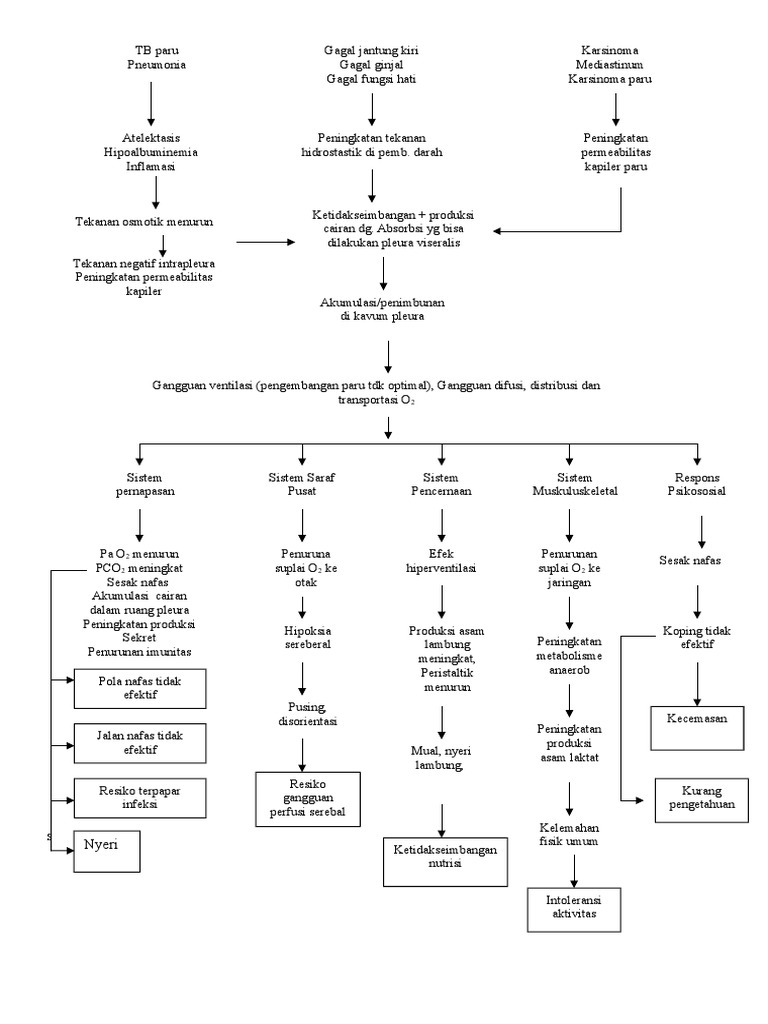 Pathway Efusi Pleura. | PDF