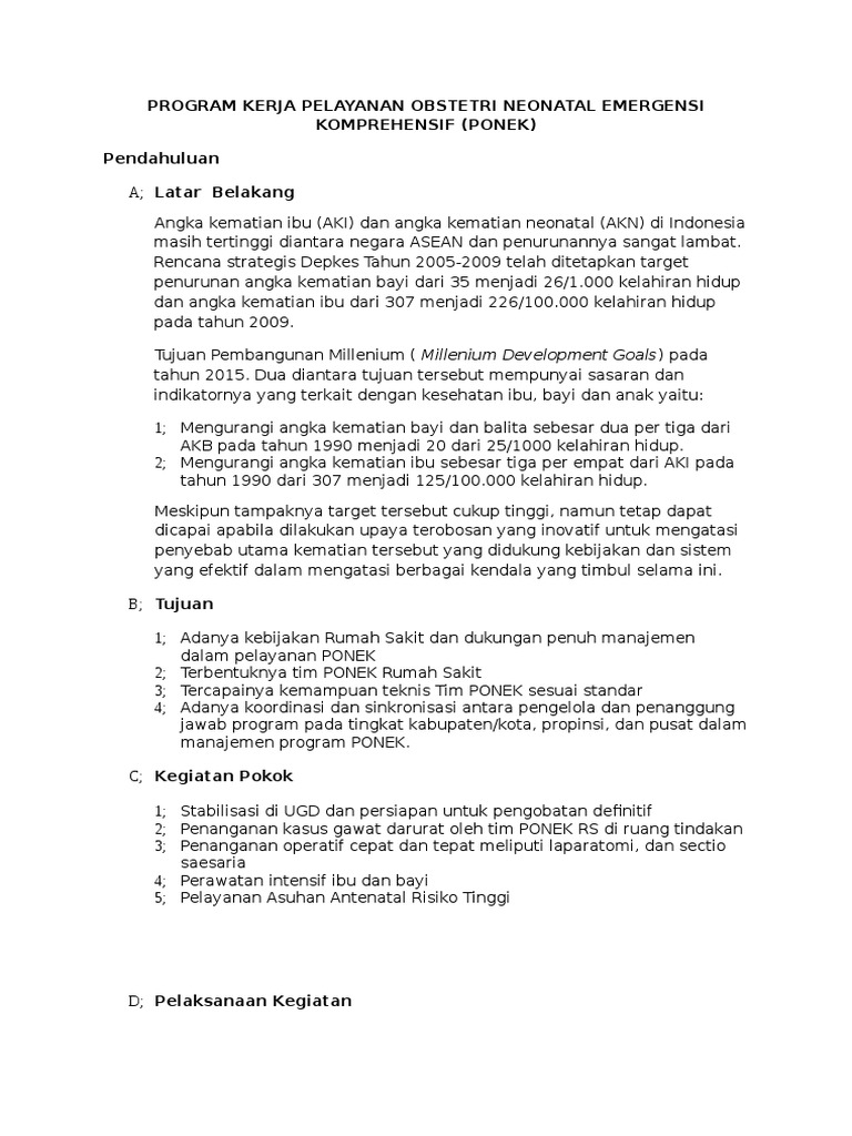 Program Kerja Ponek | PDF