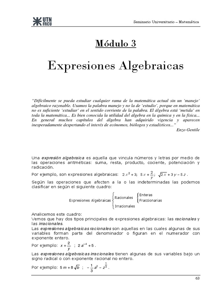 01-Expresiones Algebraicas | PDF | Fracción (Matemáticas) | Factorización