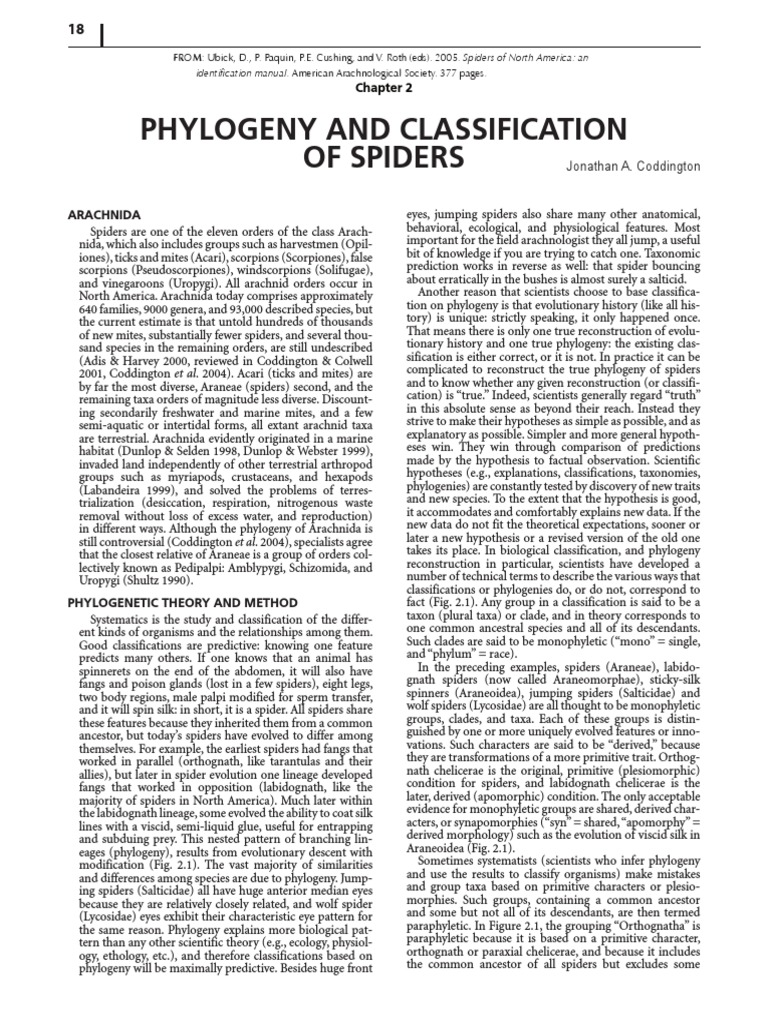 Phylogeny and Classification of Spiders: Arachnida | PDF | Taxonomy ...