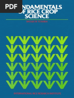 Profile of NSIC RC 160 and 218 | PDF | Crops | Agronomy