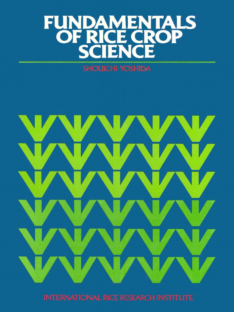 Fundamentals of Rice Crop Science | PDF | Germination | Seed