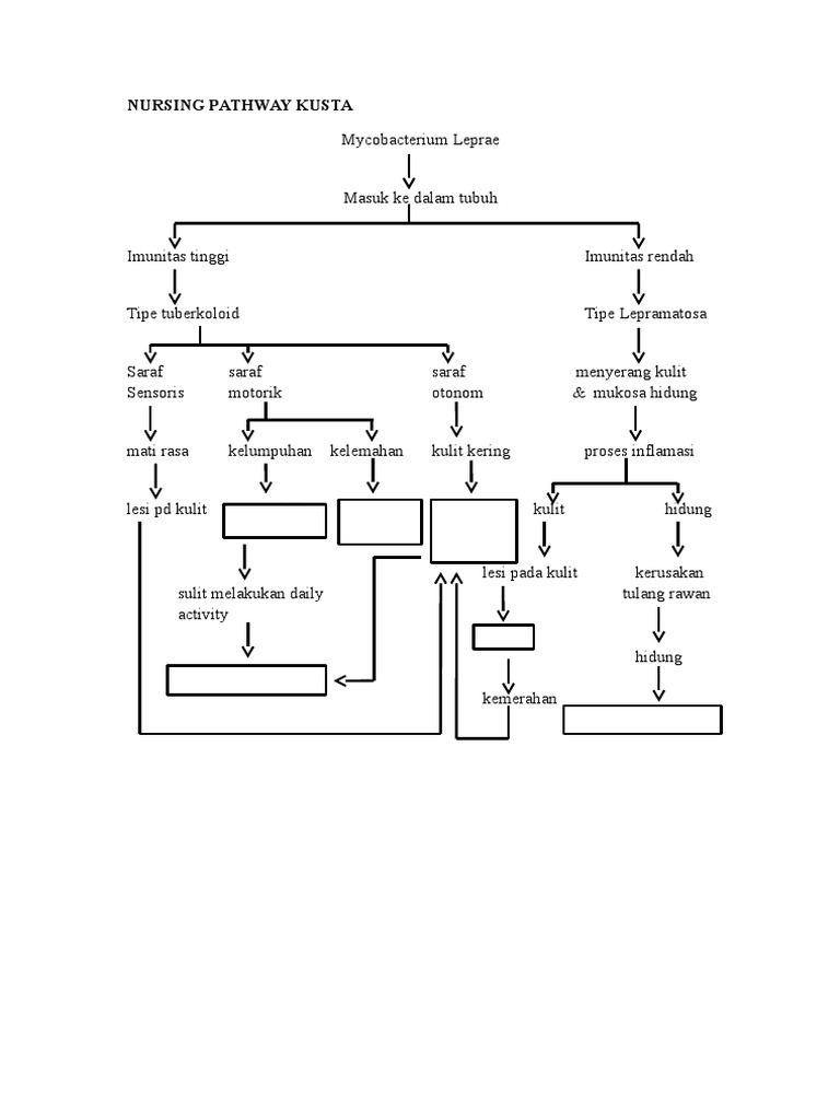 Nursing Pathway Kusta | PDF | Fiksi Umum