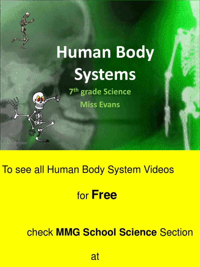 Human Body Systems For Kids | PDF | Blood | Lung
