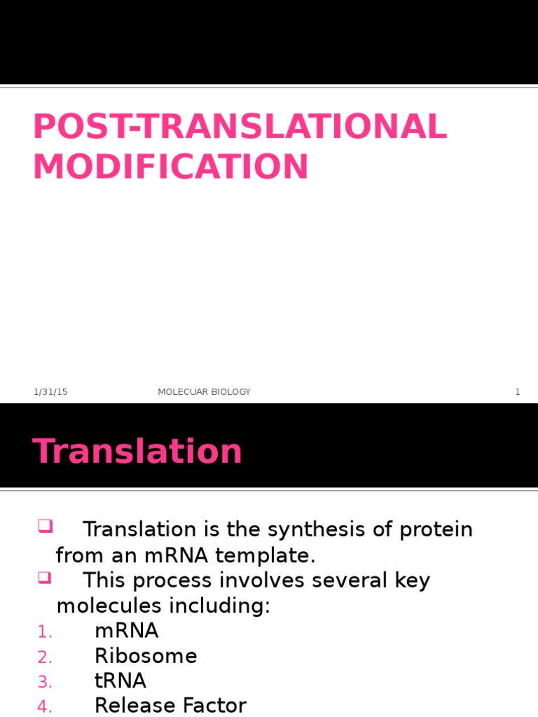 Post Translational Modifications | PDF | Translation (Biology) | Proteins