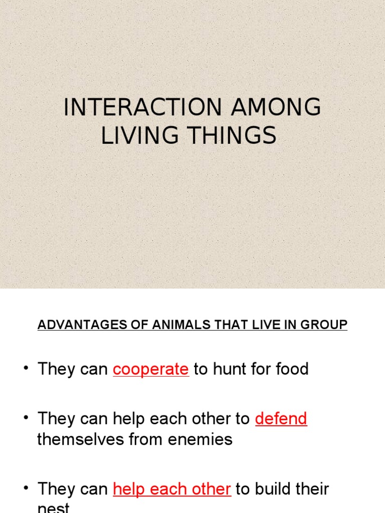 Interaction Among Living Things