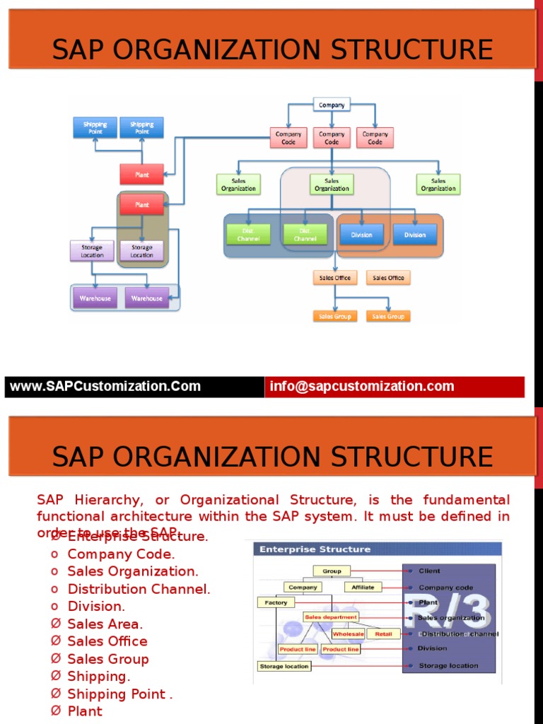 SAP Organization Structure | PDF | Sales | Business