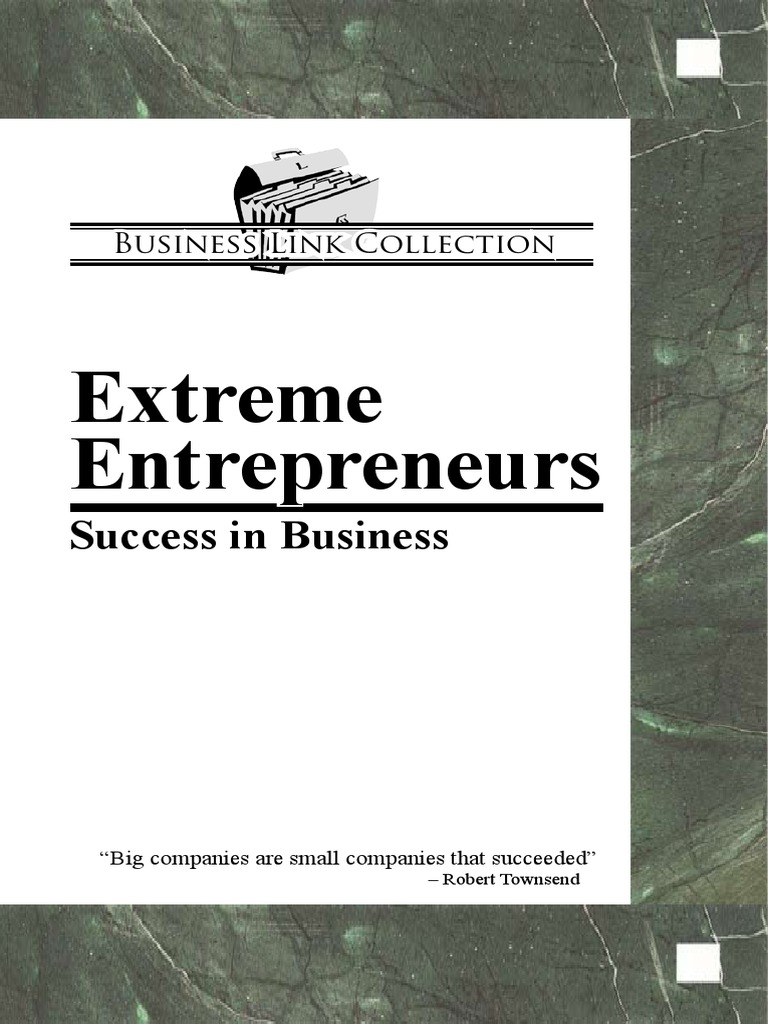 Extreme Entrepreneurs | PDF | Entrepreneurship | Small Business