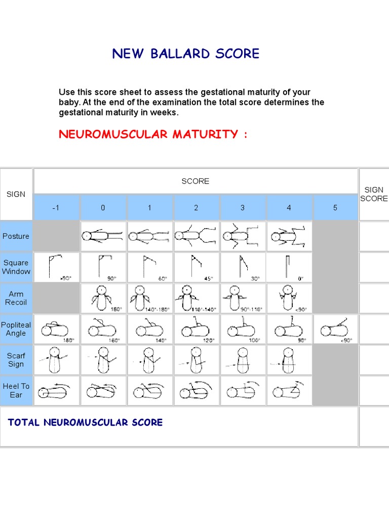 New Ballard Score: Neuromuscular Maturity | PDF