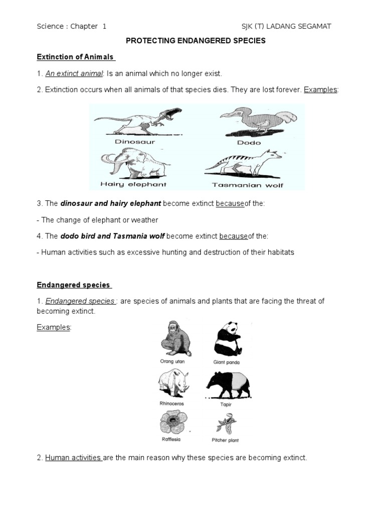 Protecting Endangered Species Extinction of Animals: Science: Chapter 1 ...