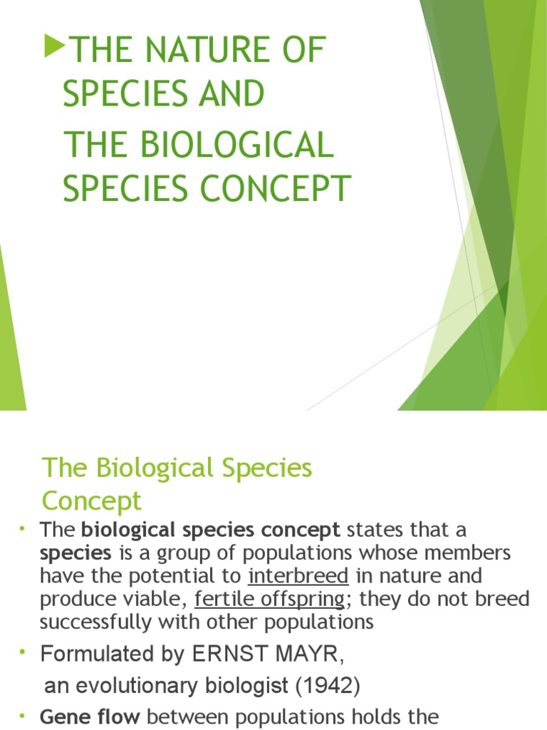 CH 24 PPT The Origin of Species | PDF | Ploidy | Hybrid (Biology)