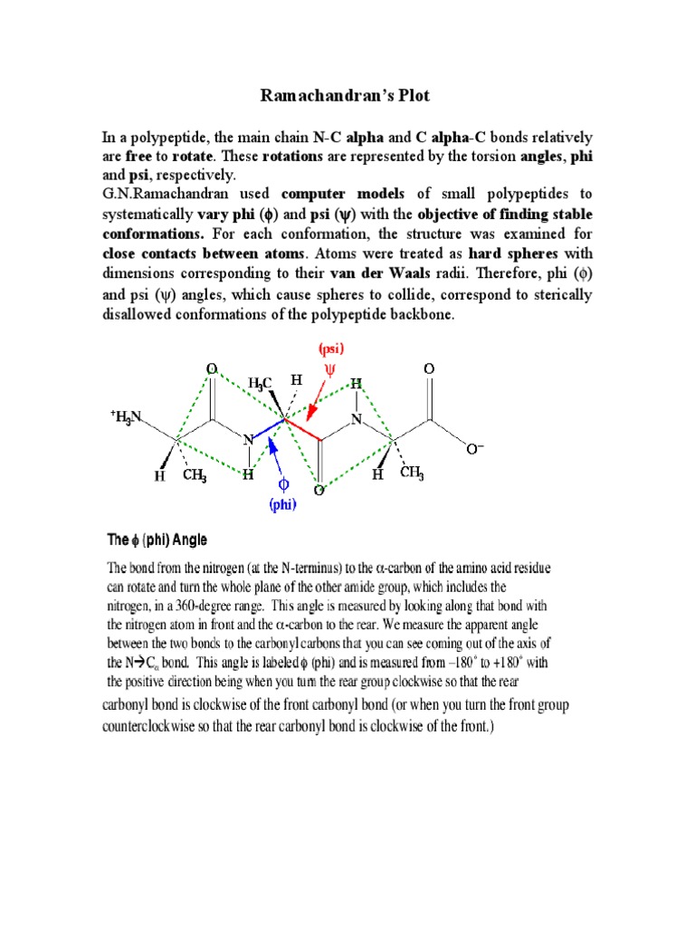 Ramachandran plot-2.doc | Protein Structure | Alpha Helix