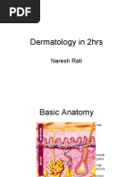 Dermatology Handbook | PDF | Epidermis | Wound Healing