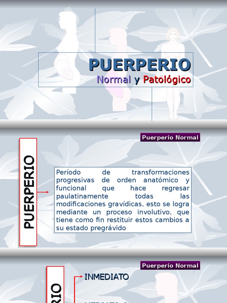 puerperio-normal-y-patologico.ppt | Periodo posparto | Pecho