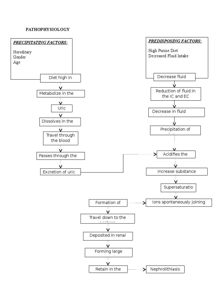 Pathophysiology: Predisposing Factors: Precipitating Factors | PDF