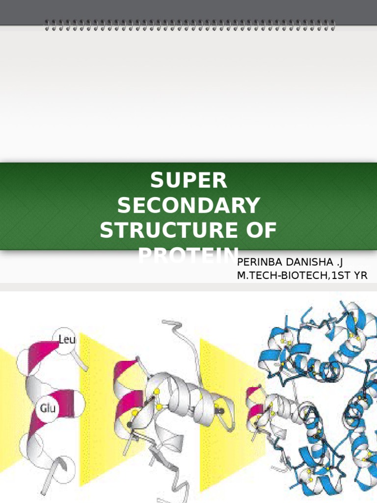 Super Secondary Structures of Proteins | PDF