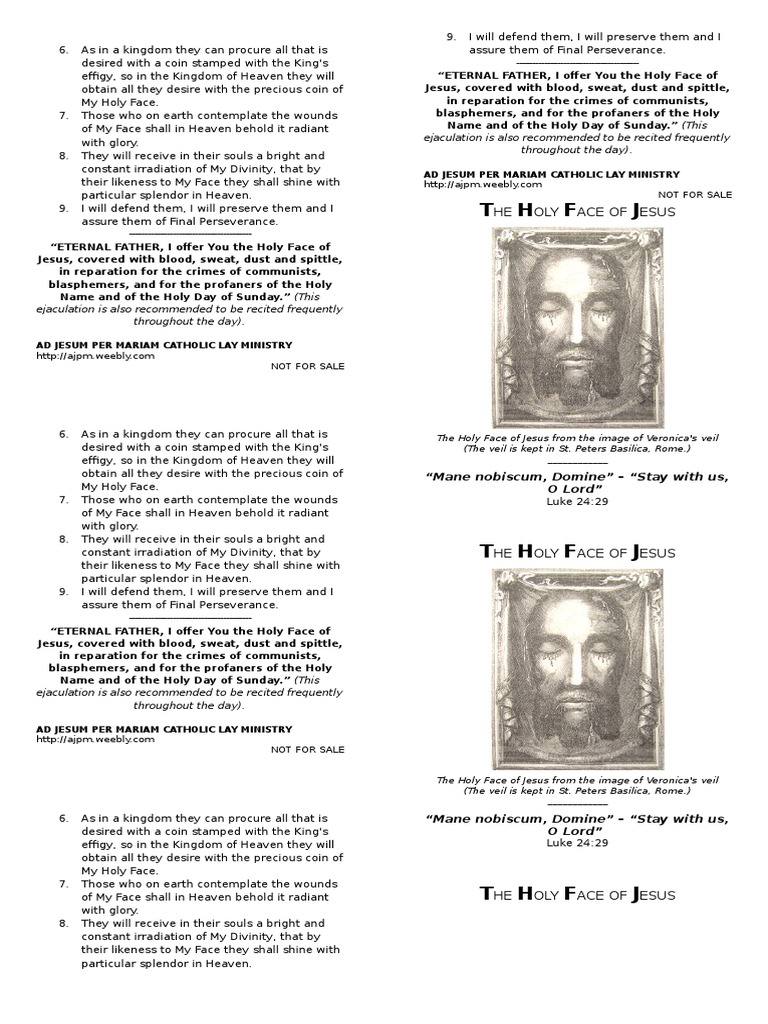Holy Face of Jesus Pamphlet History | PDF | Catholic Church | Spirituality