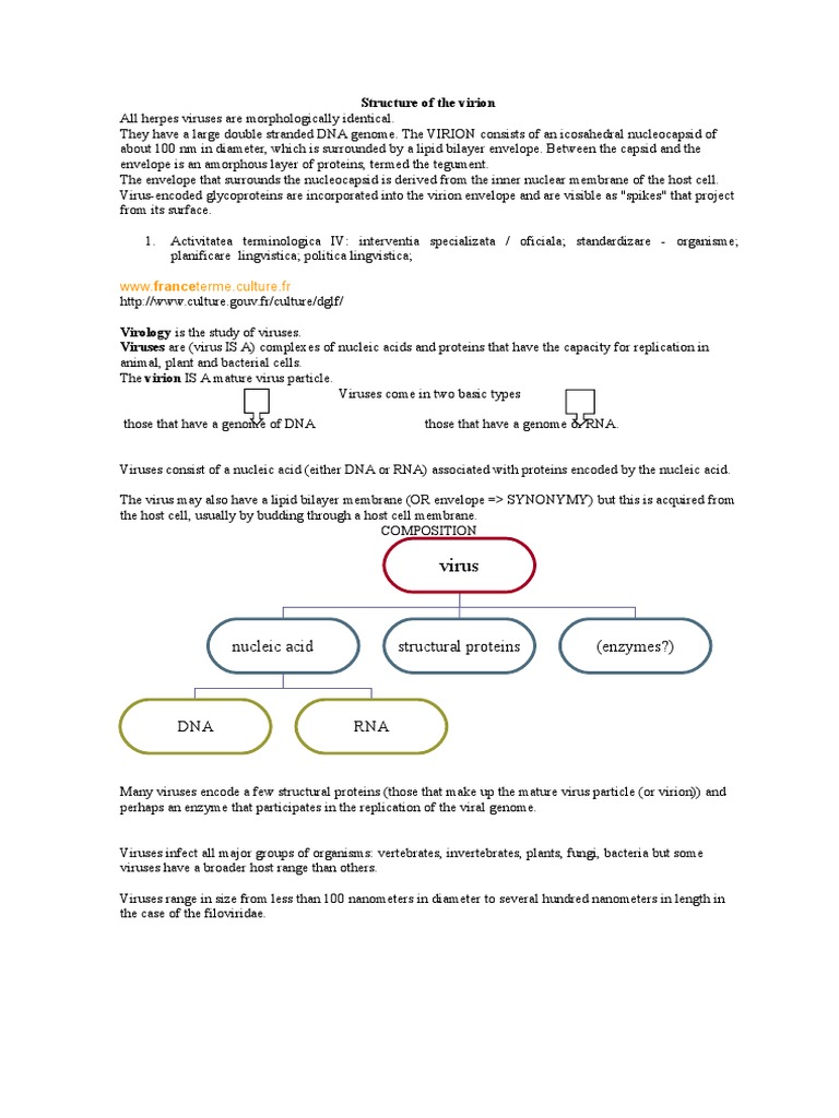 Structure of The Virion | PDF | Virus | Nucleic Acids