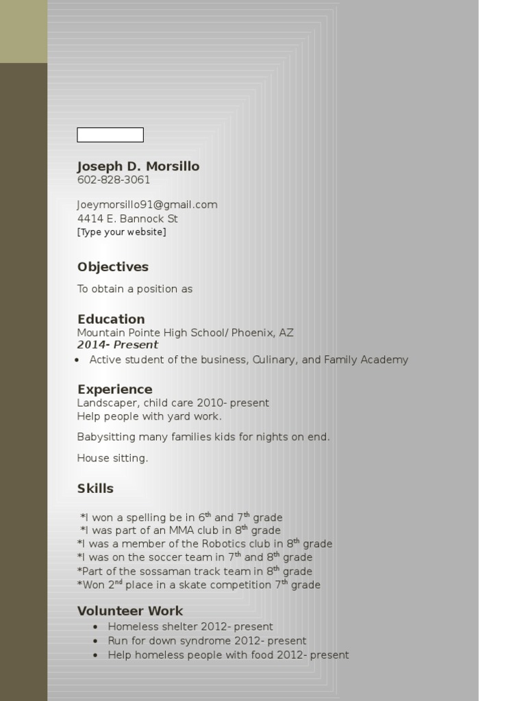 Joseph Morsillo's Resume Overview | PDF