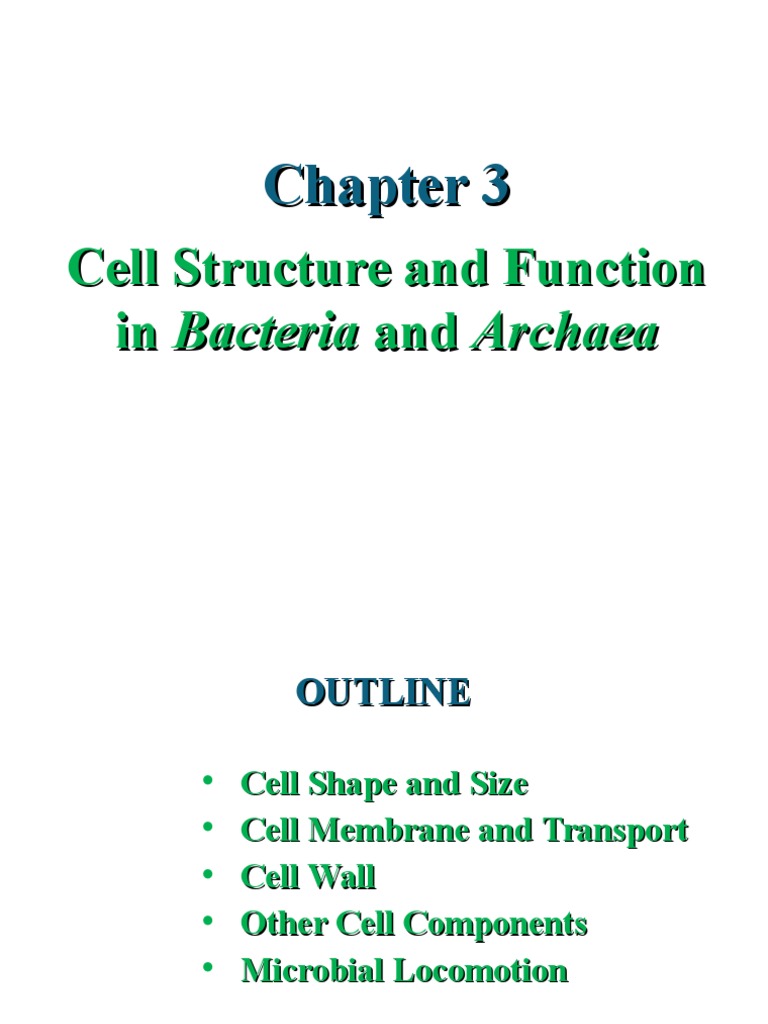 Bacterial and Archaeal Cell Structure | PDF | Cell Wall | Cell (Biology)