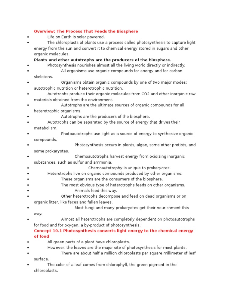 Plants and Other Autotrophs Are The Producers of The Biosphere | PDF ...