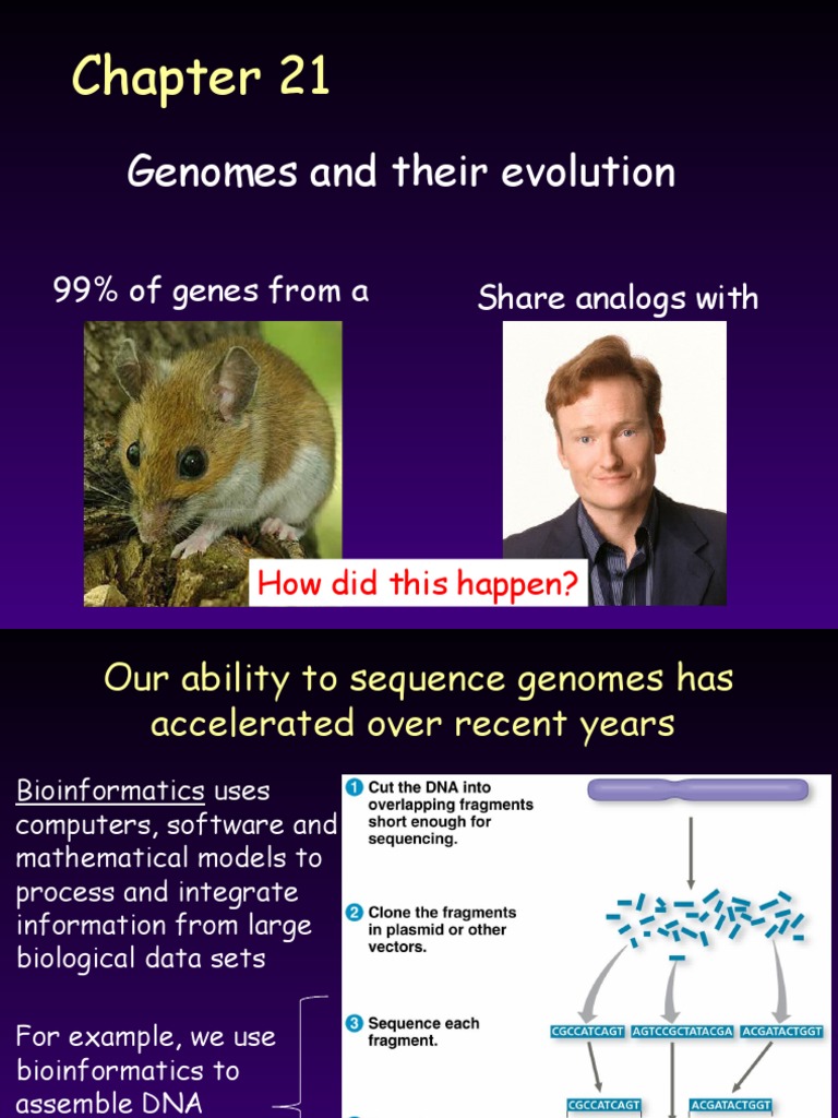 Genome Evolution and Bioinformatics Insights | PDF | Transposable ...