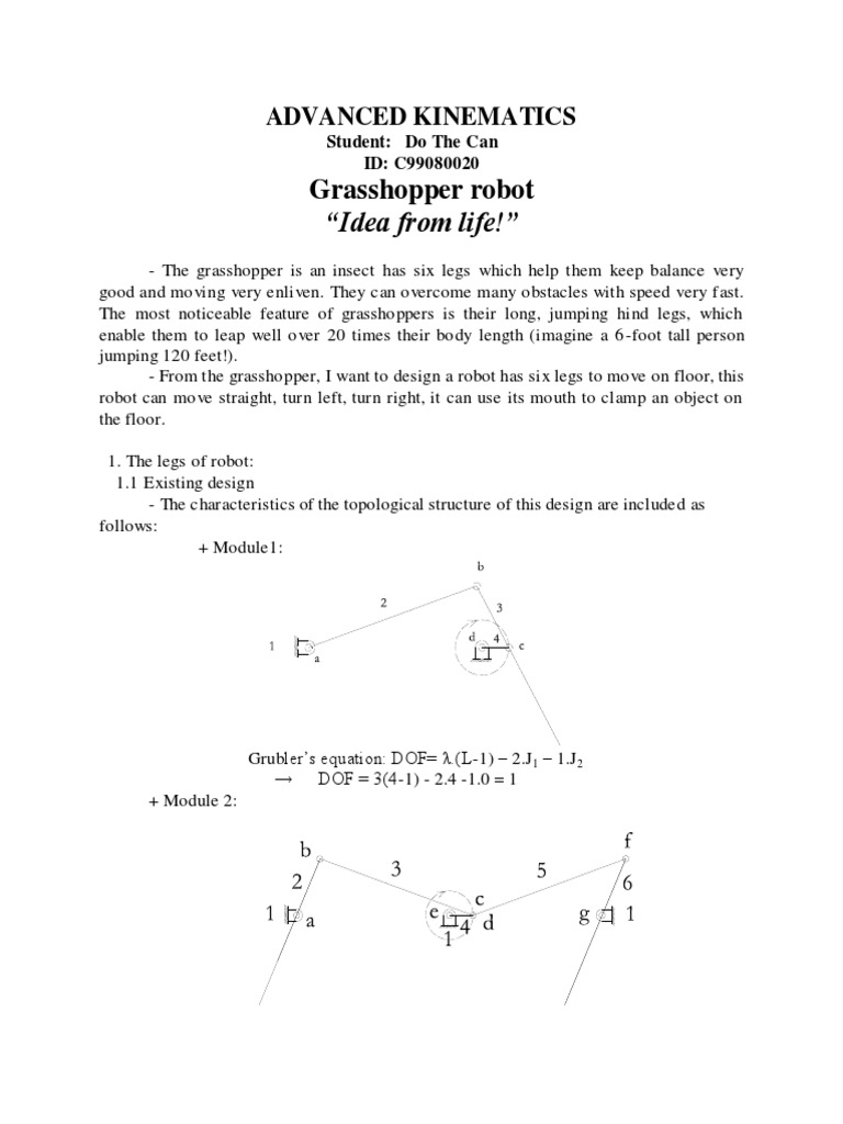 Report Advanced Kinematics | PDF | Trigonometric Functions | Angle
