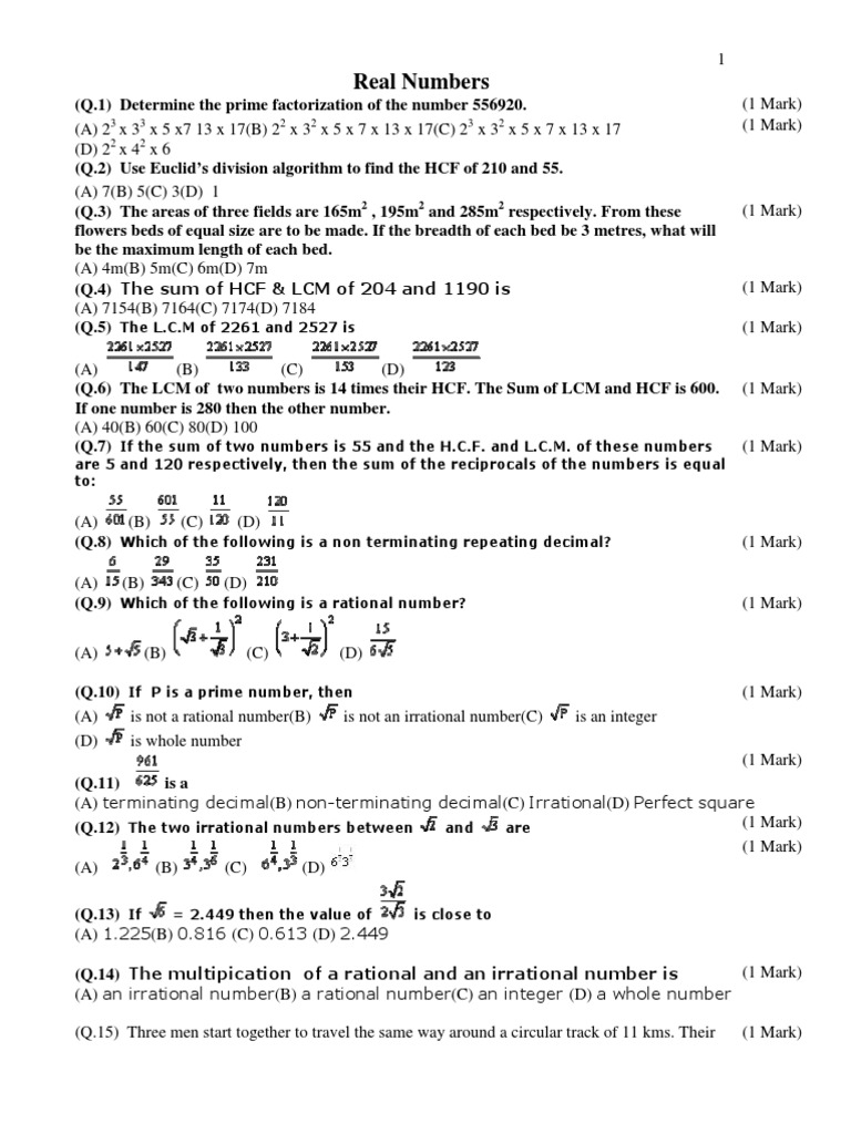 Real Numbers | PDF | Rational Number | Numbers
