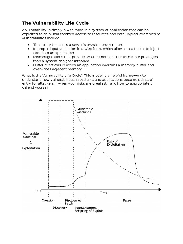 The Vulnerability Life Cycle Pdf Exploit Computer Security Vulnerability Computing