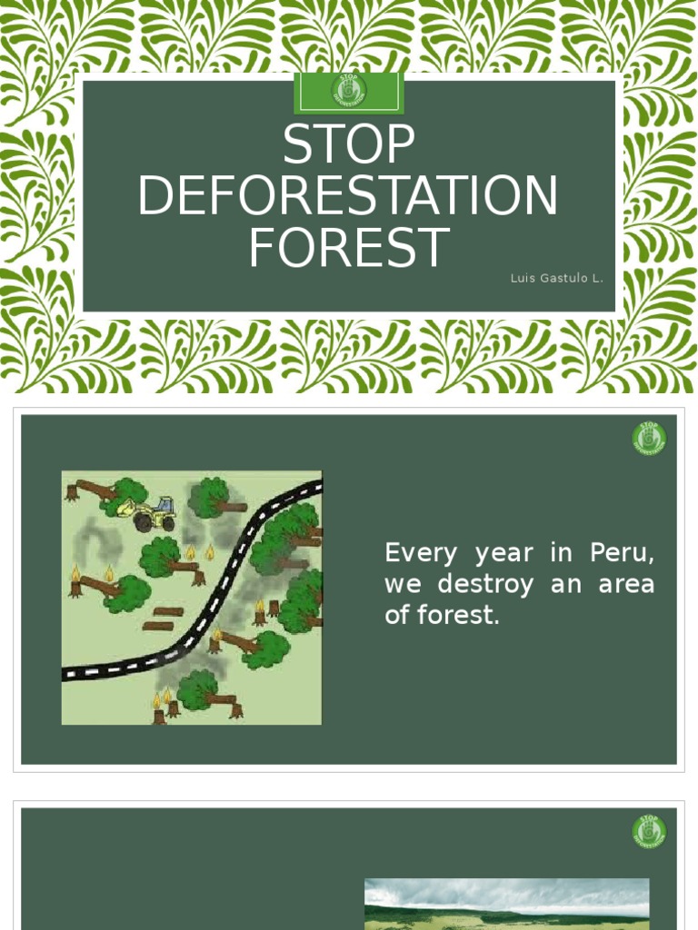 Stop Deforestation Forest: Luis Gastulo L | PDF