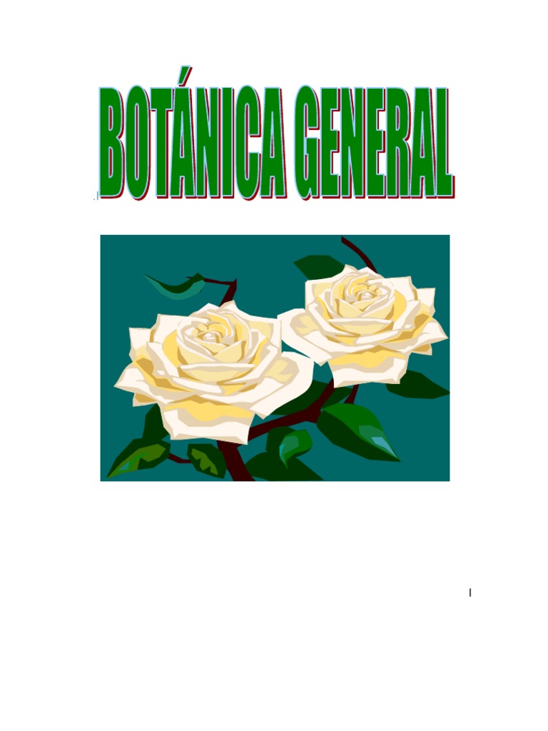Botanica General Curso | PDF