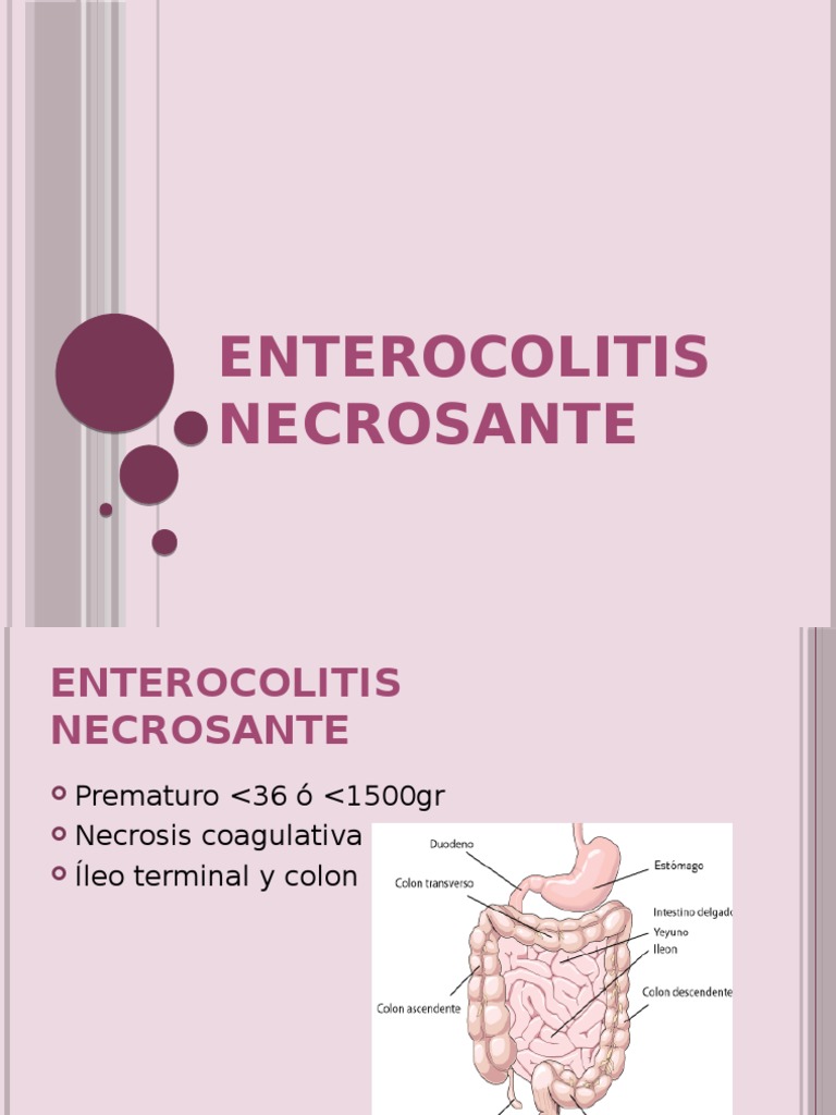 ENTEROCOLITIS NECROSANTE | Diarrea | Especialidades Medicas