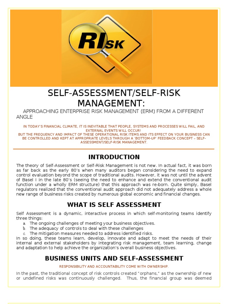 Self Assessment | PDF | Audit | Risk Management