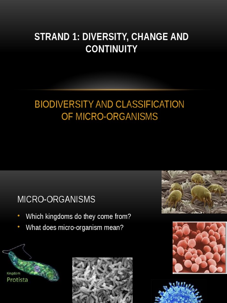 Biodiversity and Classification of Micro-Organisms | PDF | Bacteria ...