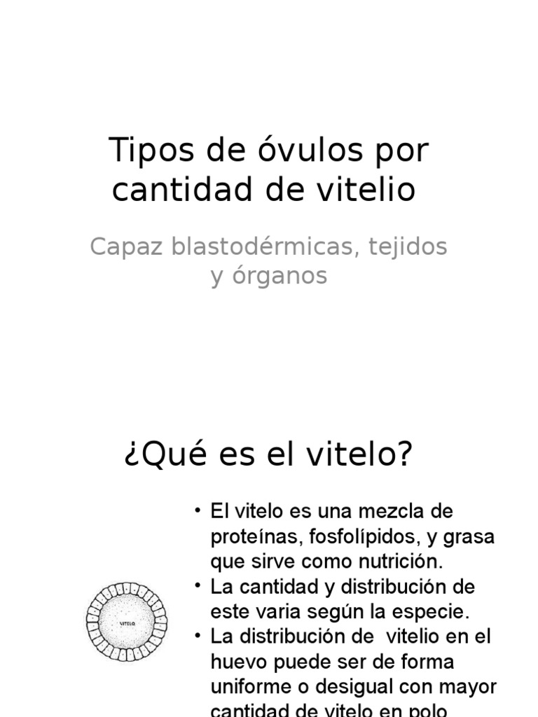 Tipos de óvulos según vitelo | PDF | Salud y bienestar
